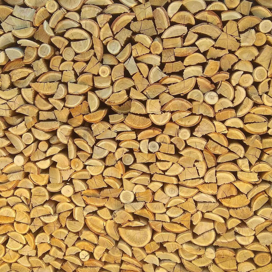 Blue Gum wood Bulk (Local) | 2000 Loose Pieces